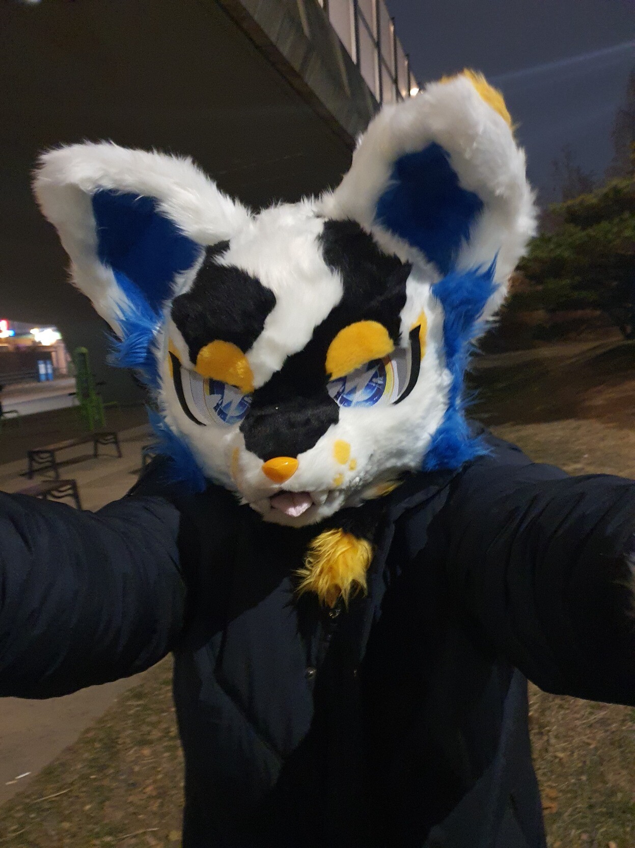 Spark :fursuit_bluefox_new: (@spark@kurry.social) - K-Furry (케이퍼리)
