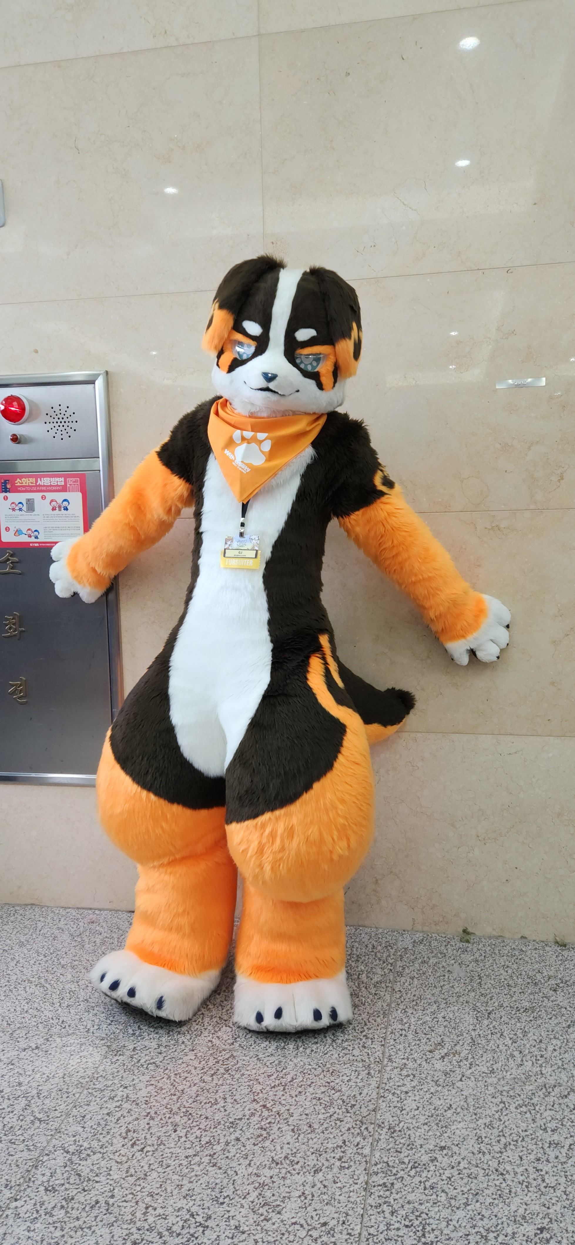 키리네코 :fursuit_binari: (@kirineko_kr@kurry.social) - K-Furry (케이퍼리)